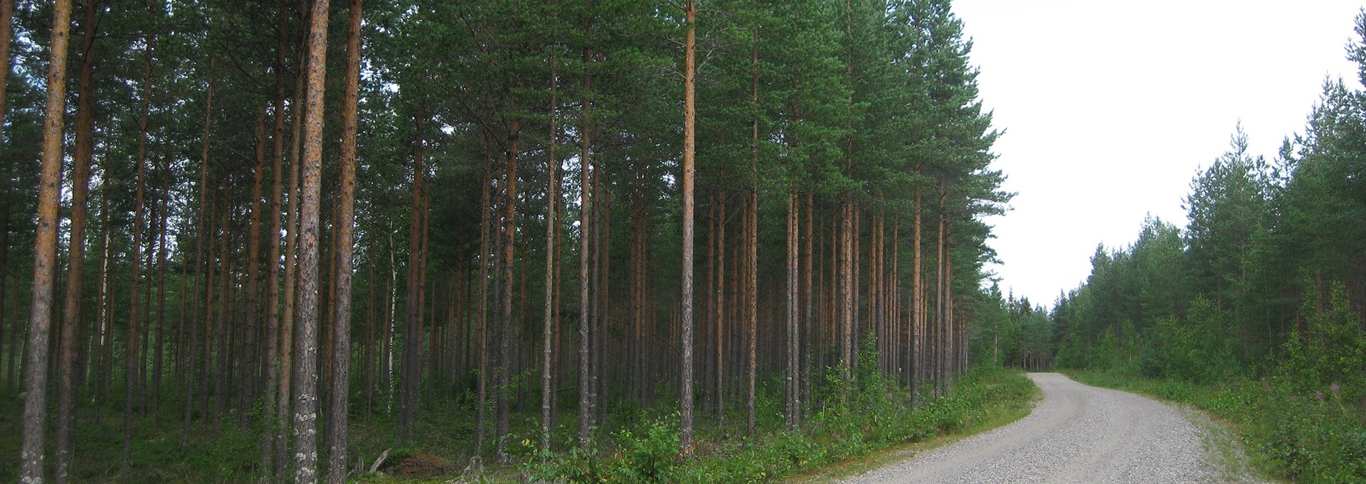 Etelä-Pohjanmaa - Skogsfastigheter.fi