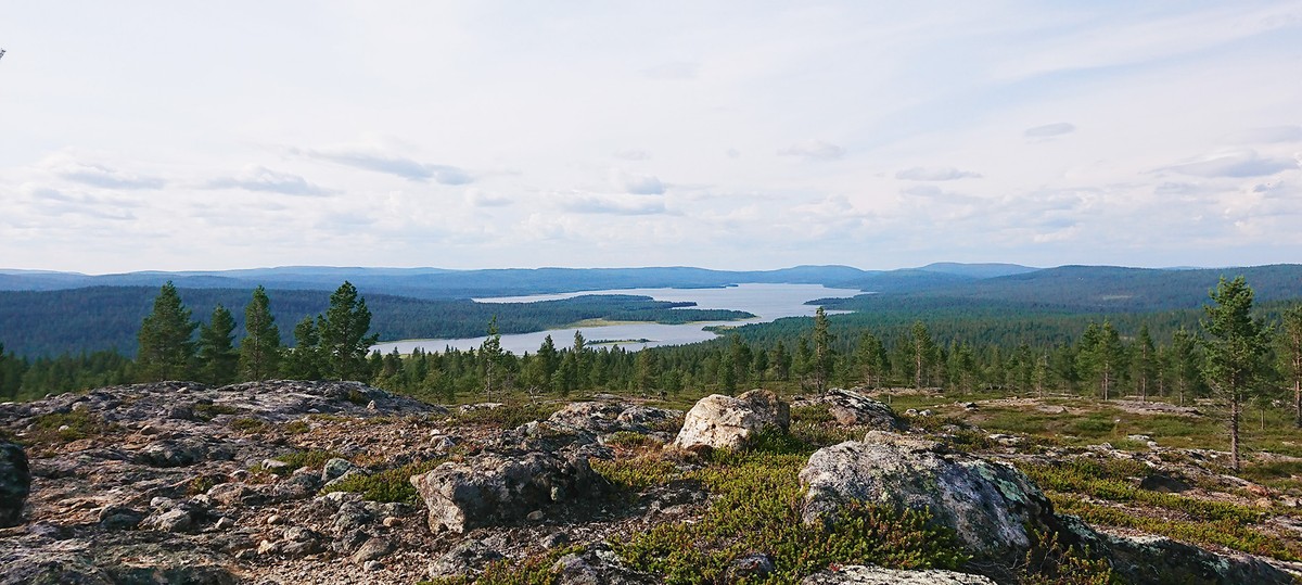 Lappi - Metsätilat.fi